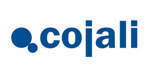 Cojali | Diagnostic Tools & OEM Solutions for Commercial Vehicles