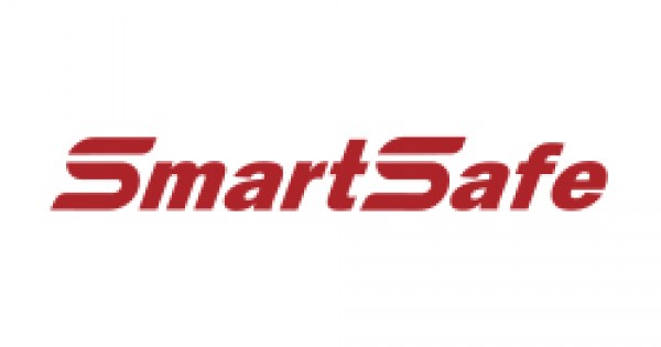 Electric Vehicle Diagnostic Tools & Automotive Solutions